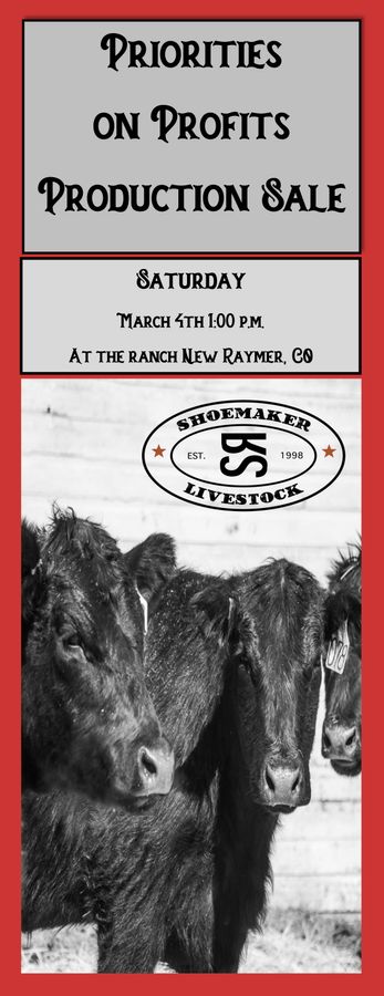 Flipsnack final catalog by Dawn Shoemaker - Flipsnack