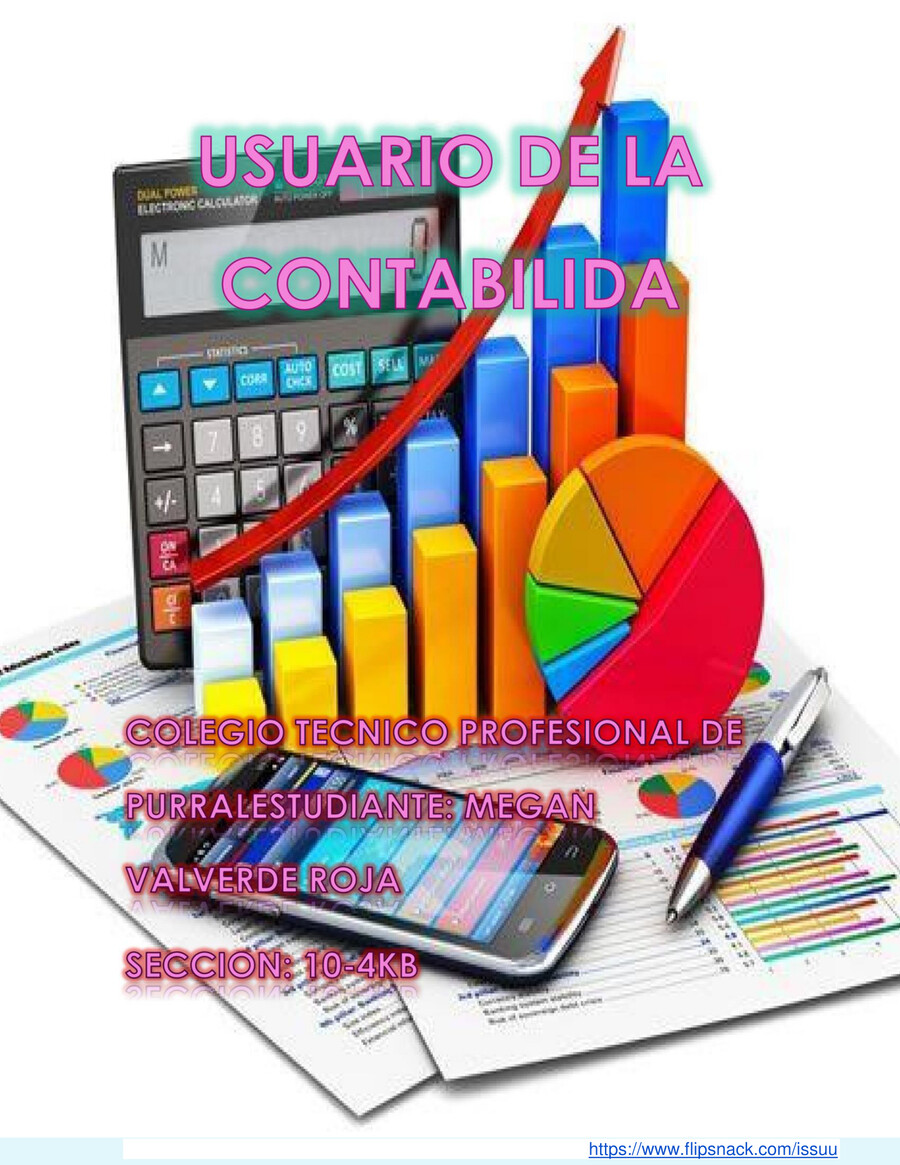 USUARIO DE LA CONTABILIDAD by viviana - Flipsnack