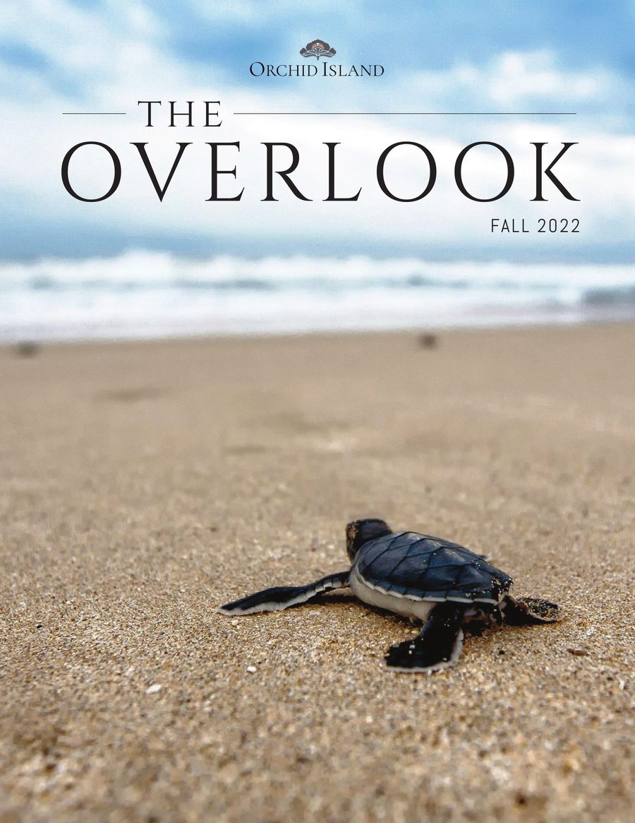 The_Overlook_Fall_2022_Issue by Orchid Island Realty - Flipsnack