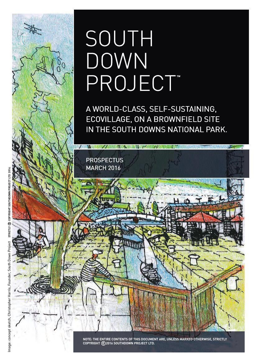 Copy of South Down Project - Prospectus March 2016 by The South Down... - Flipsnack