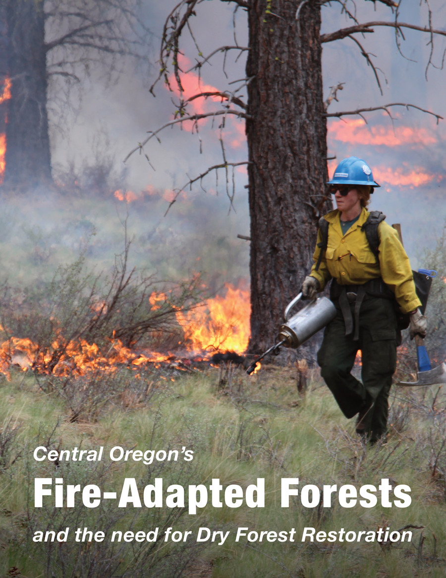 Central Oregon's Fire-Adapted Forests by Christina Friehauf - Flipsnack