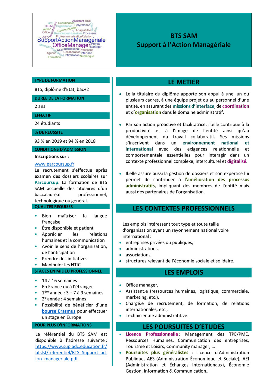 Plaquette BTS SAM site lycée by Corinne Rabiniaux - Flipsnack