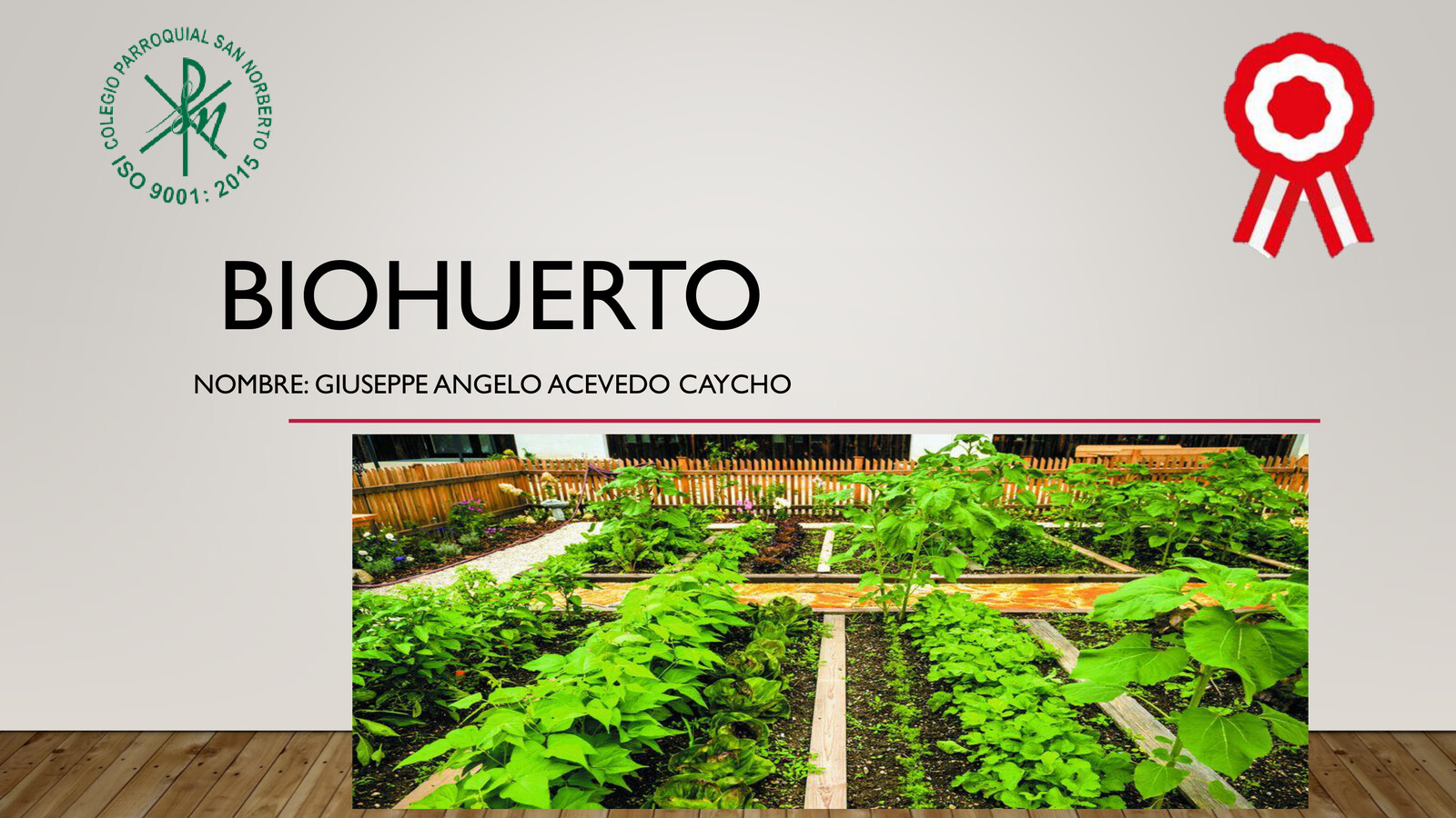 BIOHUERTO by... - Flipsnack