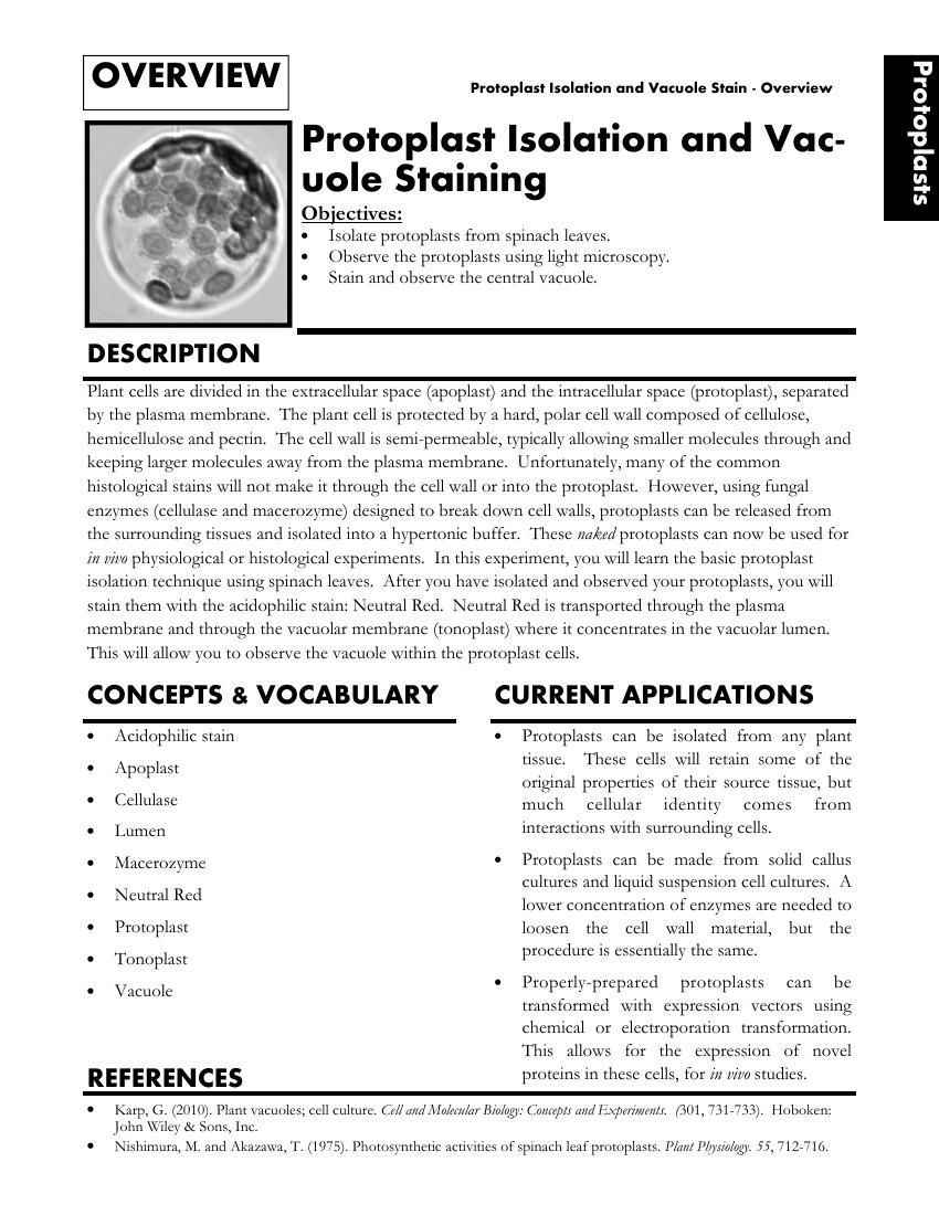 Histology Lab -- Protoplast Isolation and Vacuole Staining by ...