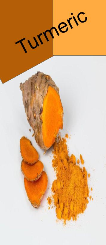 savannah's turmeric brochure by... - Flipsnack