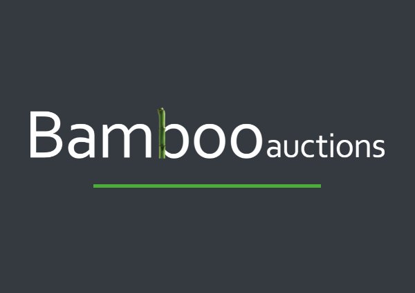 Bamboo Auctions - Sales Introduction - 2022 - Mica W-G by Bamboo Auctions Ltd - Flipsnack