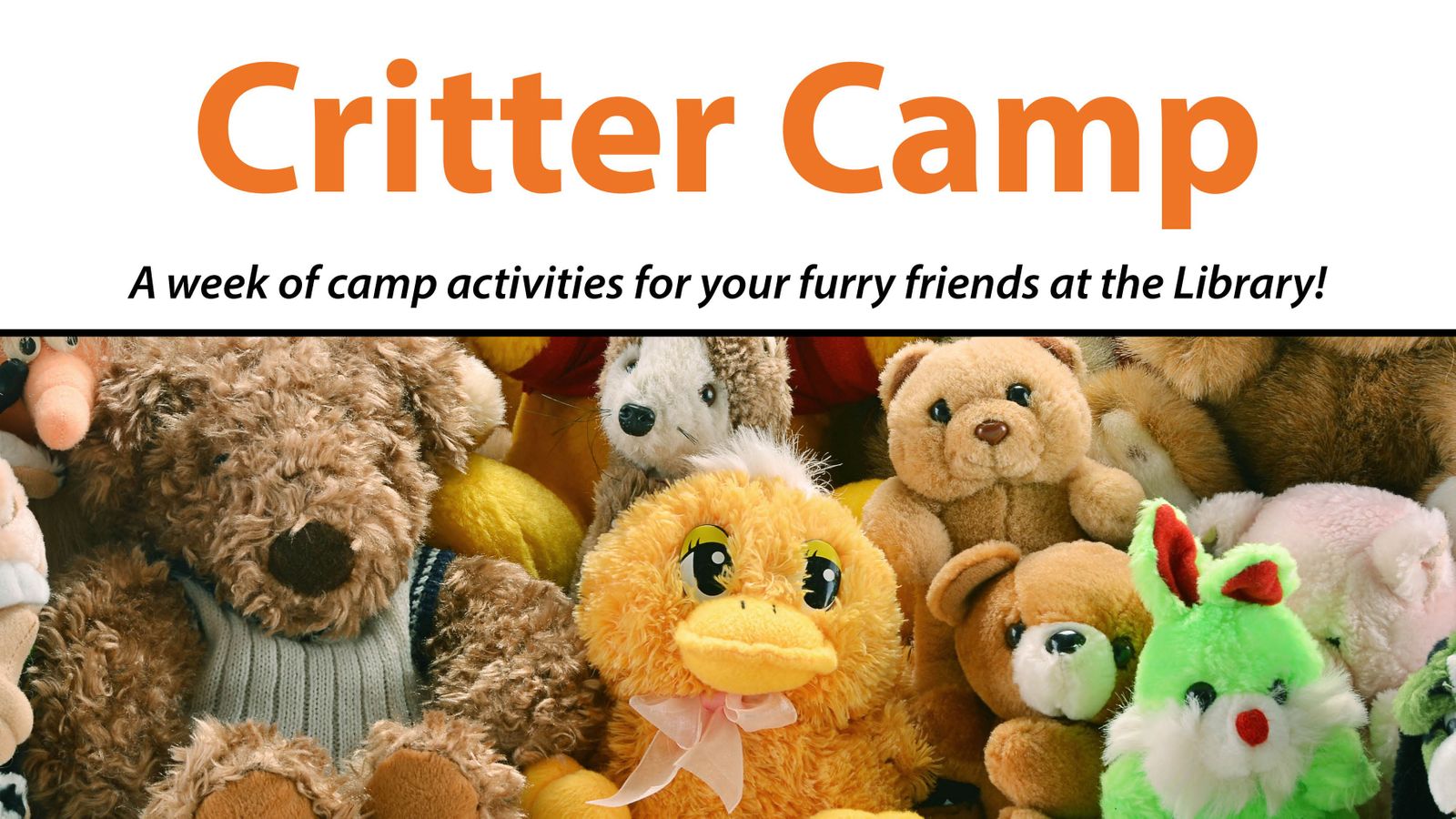 Critter Camp 2021 by nileslibrary - Flipsnack