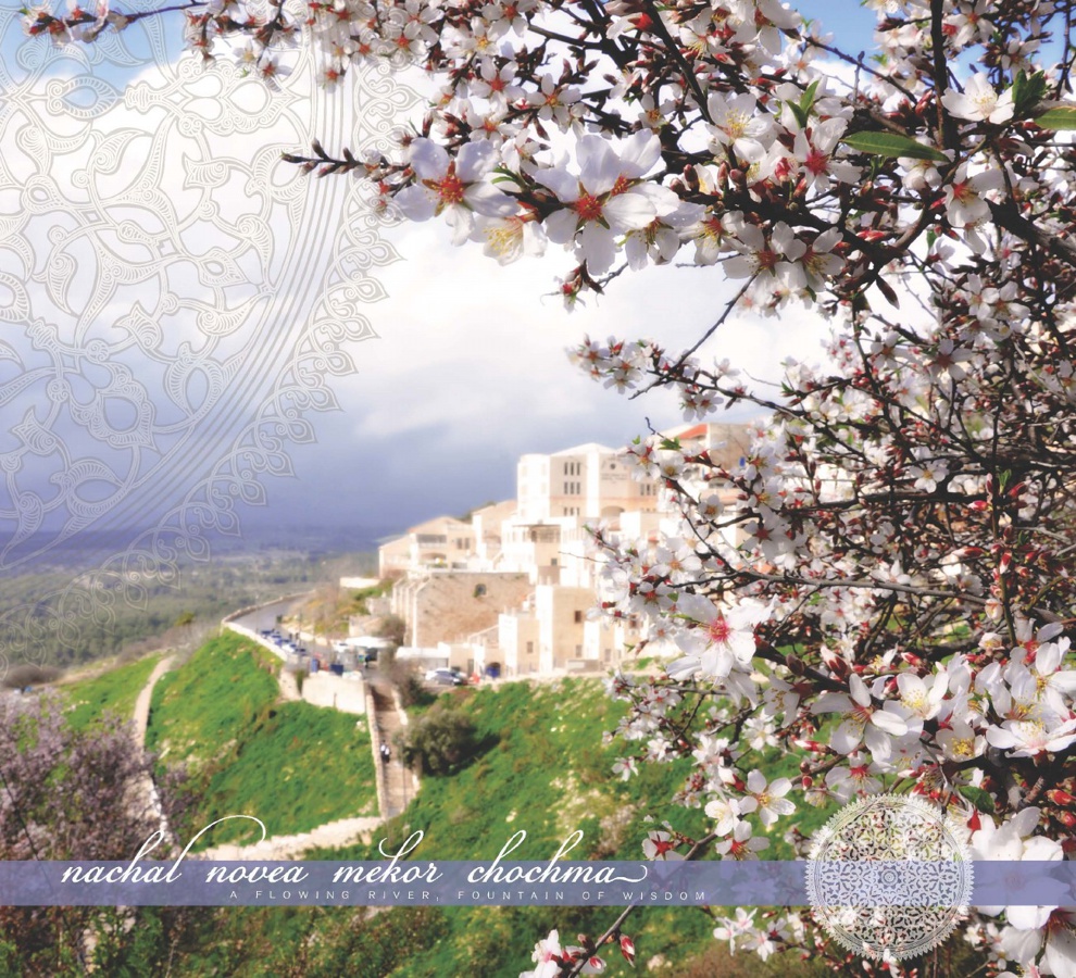 Nachal Novea Mekor Chochma in the Holy City of Tsfat by talya lipshutz ...