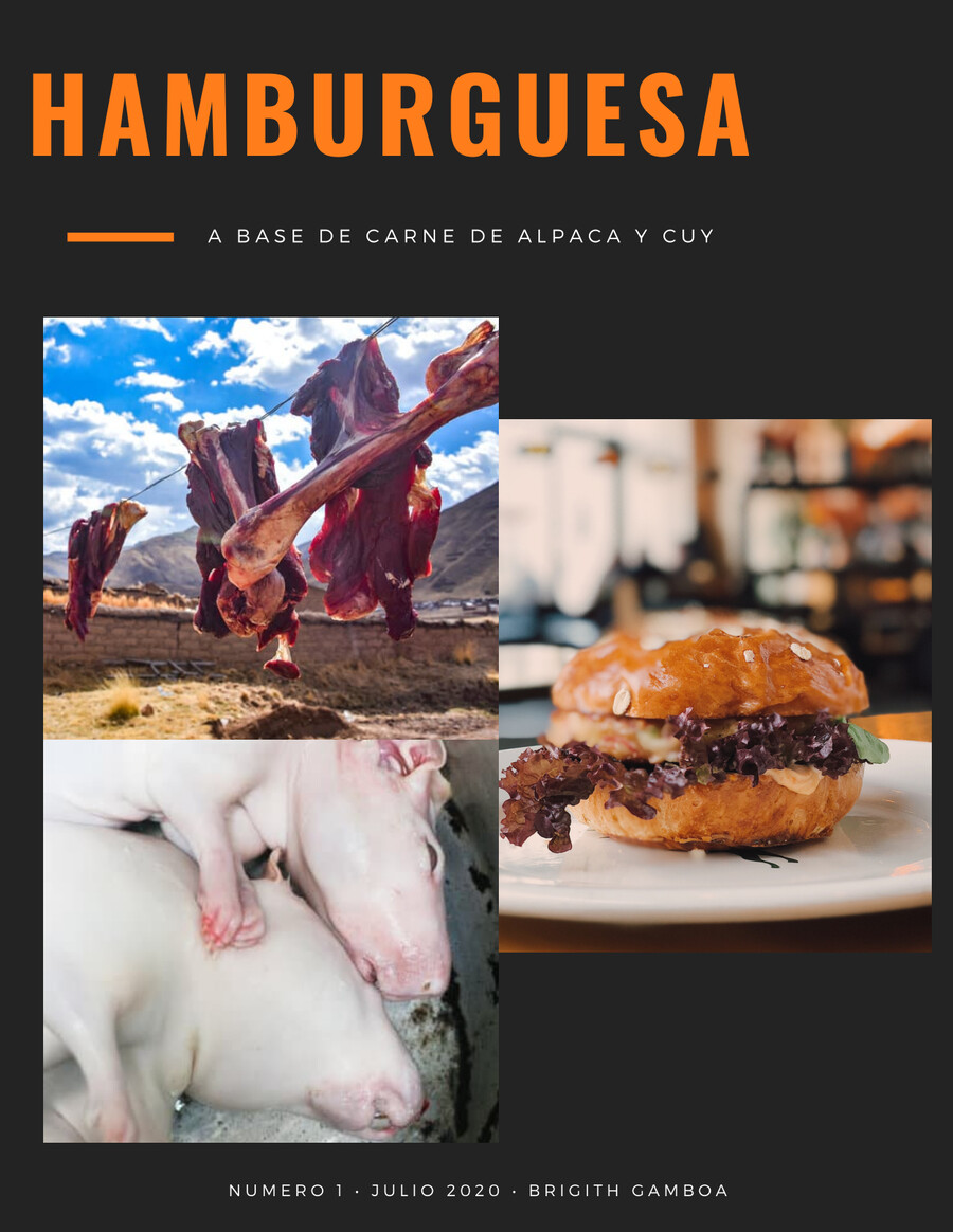 hamburgues de alpaca y cuy by Brigith Gamboa - Flipsnack