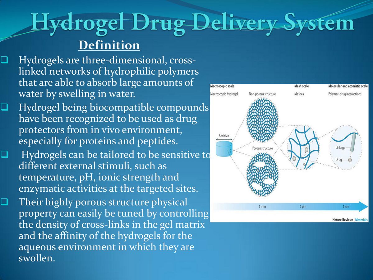 Hydrogel Drug Delivery System by Bryan Ong - Flipsnack