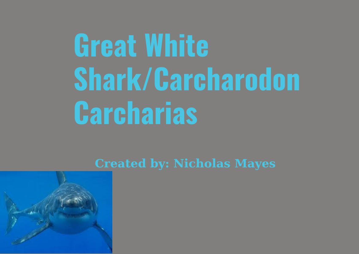 Great White Shark by Nicholas Mayes - Flipsnack