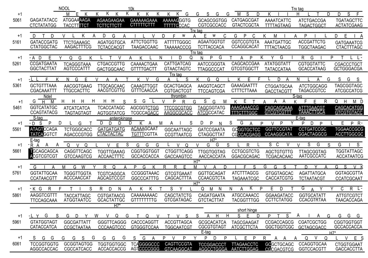 chemical-sequence-drawings by Surender - Flipsnack
