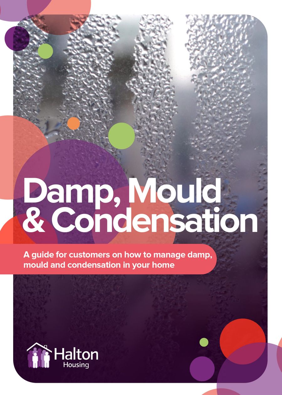 Damp, Mould and Condensation - A Guide for Customers by Communications ...