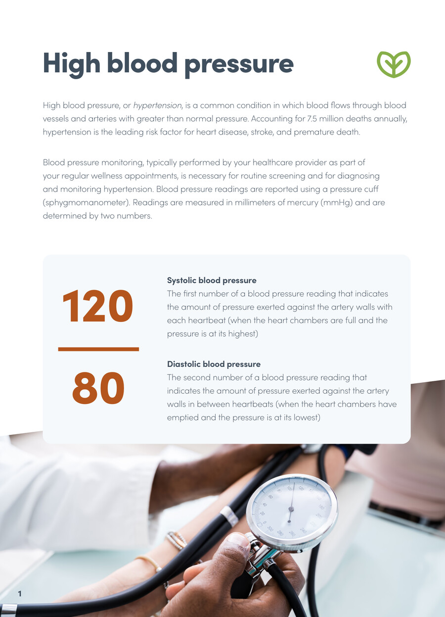 High Blood Pressure Handout By Diana Kolesarova Flipsnack
