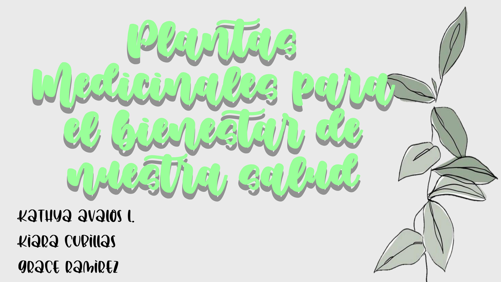 dpcc albun sobre plantas medicinales by Antuanett... - Flipsnack