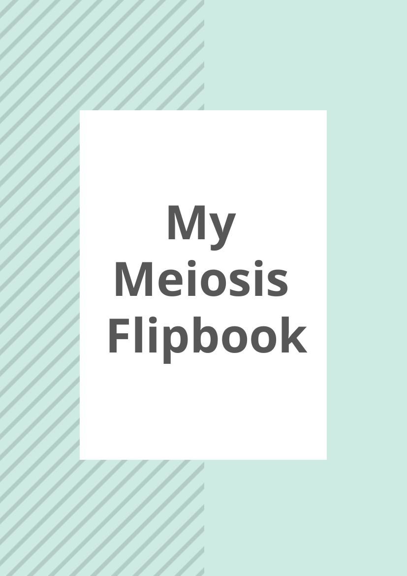 meiosis flipbook by ALLISON RHEAULT - Flipsnack