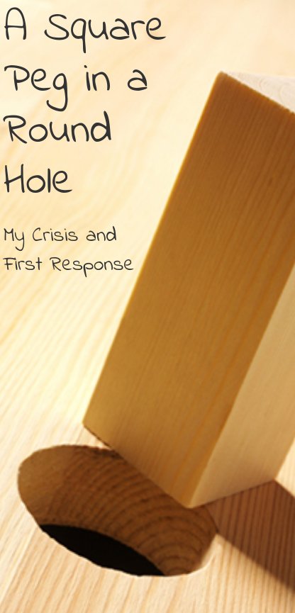 Square Peg in a Round Hole by suzanne hala - Flipsnack