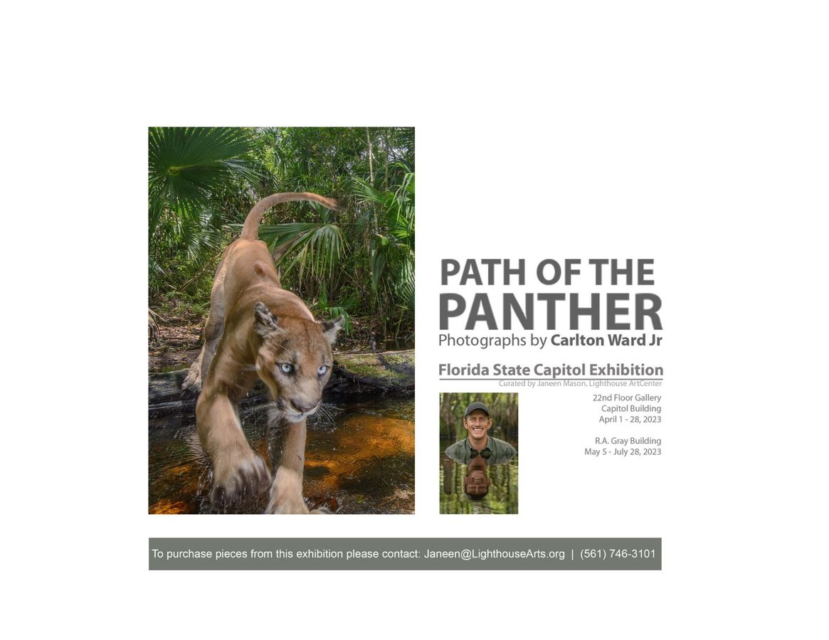 Path of the Panther Photographs by Carlton Ward Jr. by Lighthouse ...