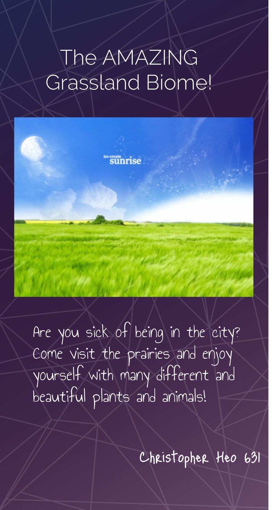 Grasslands Biome Brochure by Christopher Heo - Flipsnack