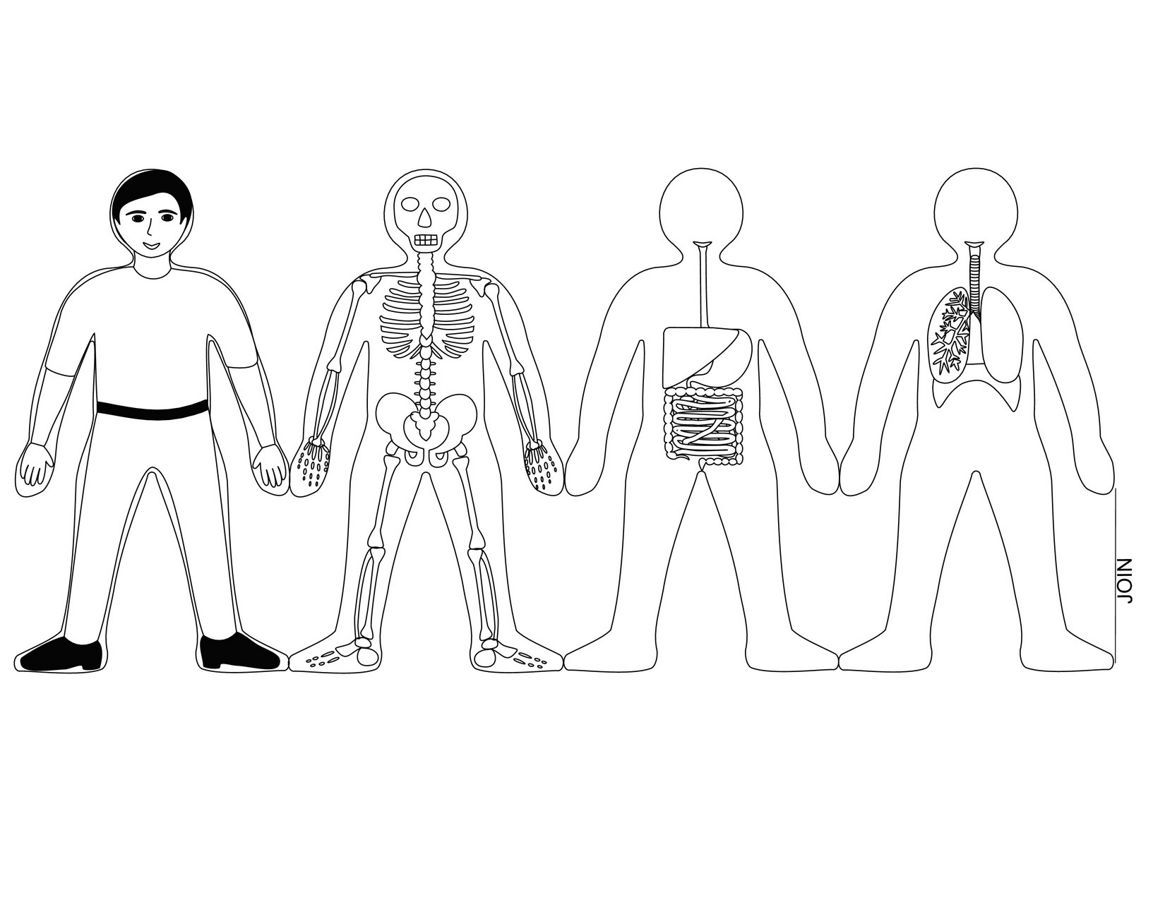 HUMAN BODY SYSTEMS-paper doll by Kristy Floyd - Flipsnack