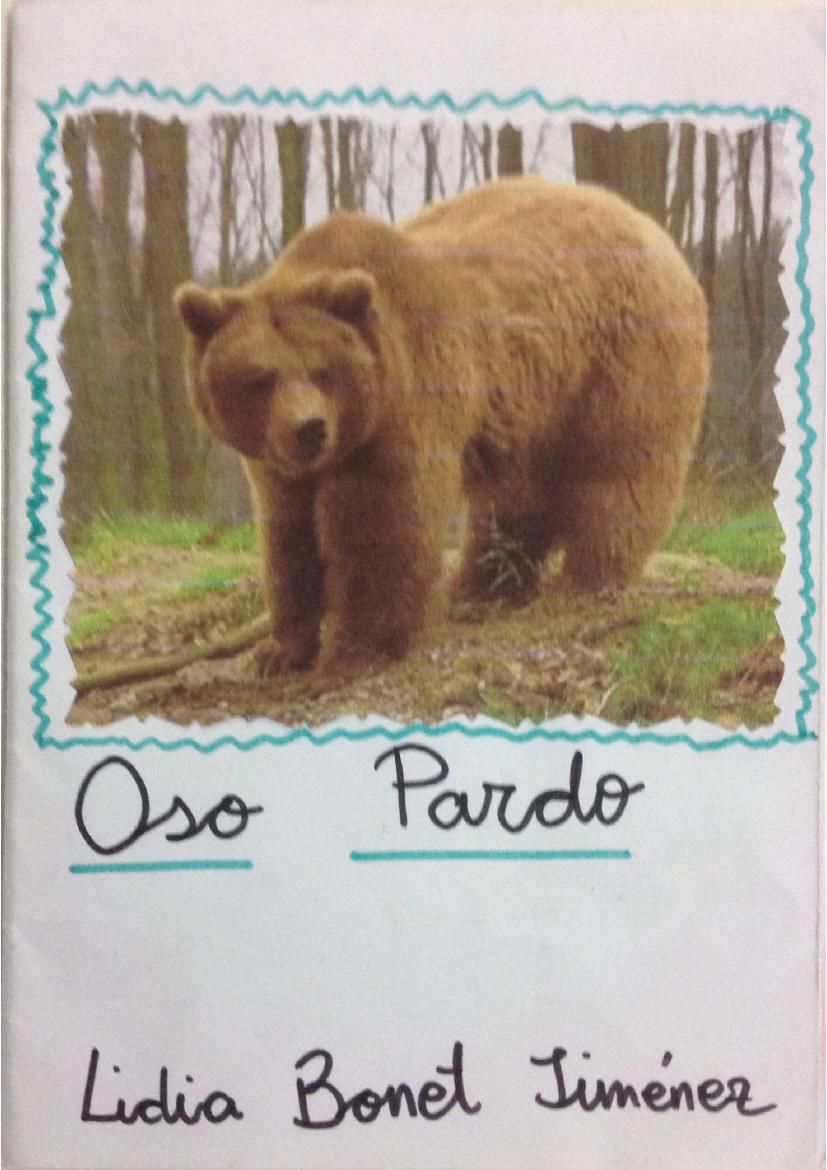 OSO PARDO BY LIDIA by Ana - Flipsnack