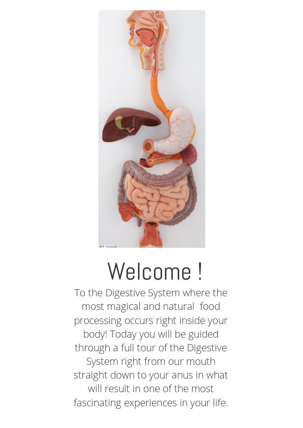 Digestive System Tour by 21E Mejia - Flipsnack