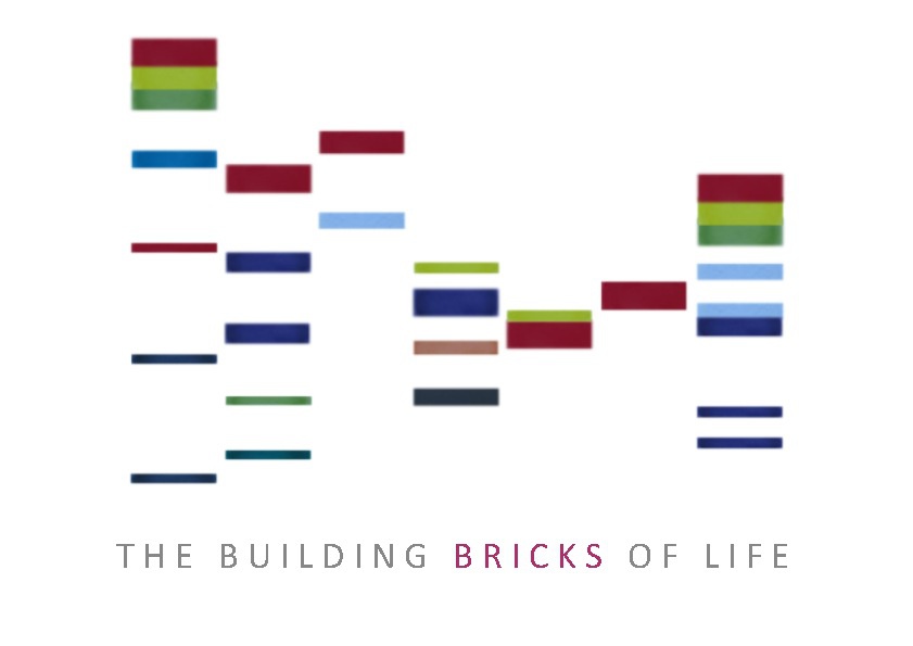 The Building Bricks of Life by James Bouck-Standen - Flipsnack