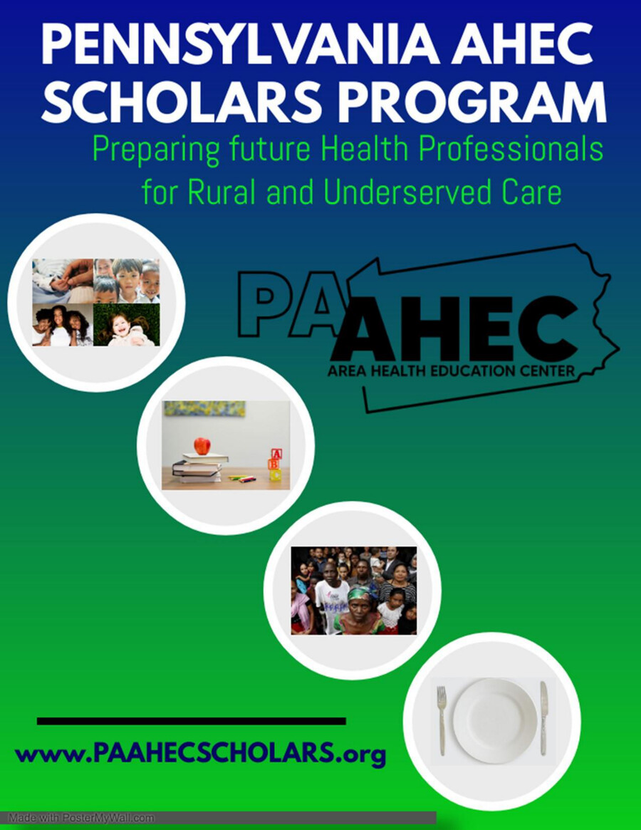 Pennsylvania AHEC Scholars Program by Leslie Petroff - Flipsnack