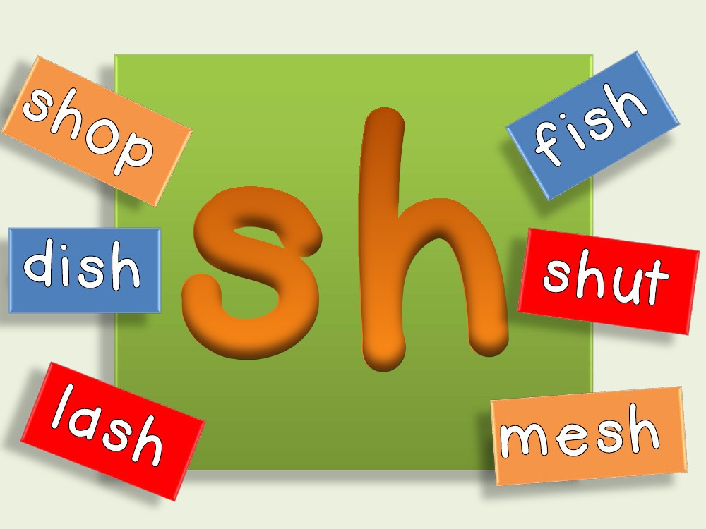 sh-Phonic Booklet by pninagenich - Flipsnack