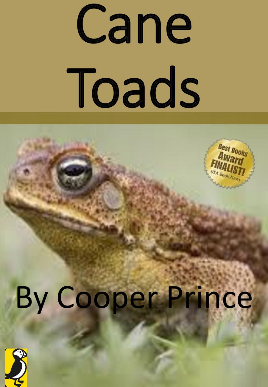 Cane toads Picture book by cooperp - Flipsnack