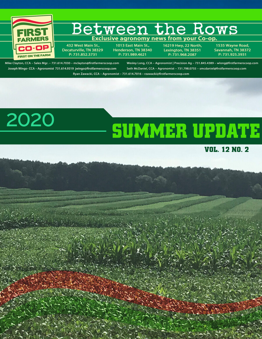 BTR 2020 Vol 12 No 2 by Rachel Byrd - Flipsnack