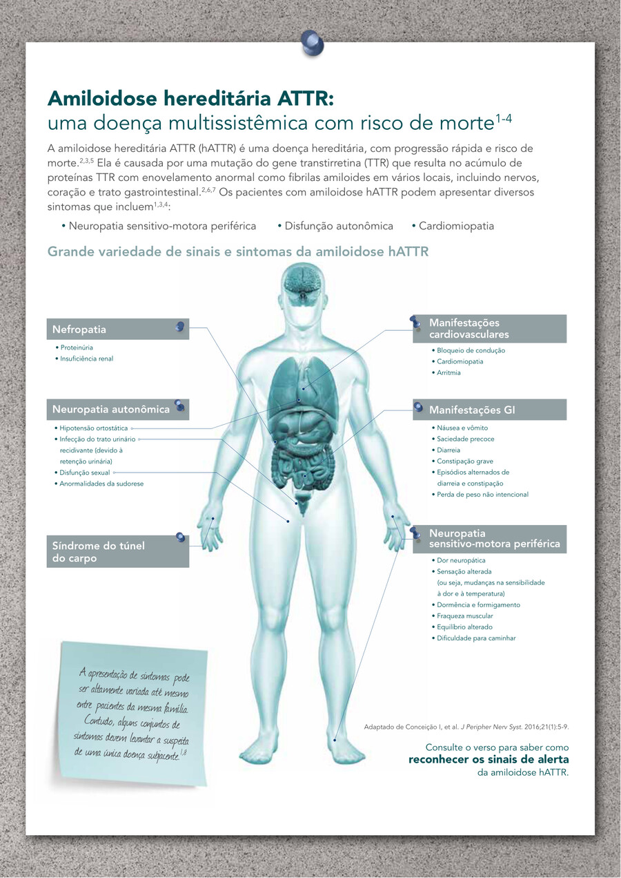6632-001 Cardio Red Flags Flashcard for Brazil - CARDIO_RELE by WDCOM ...