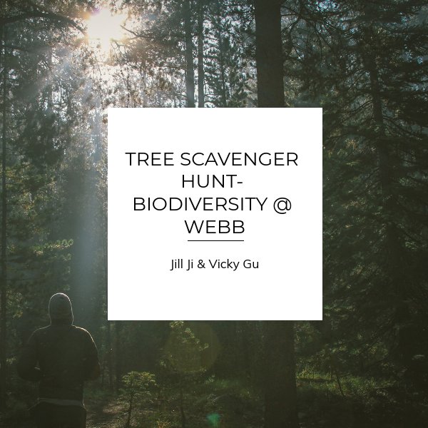 Tree Scavenger Hunt: Biodiversity @ Webb by Jill Ji - Flipsnack