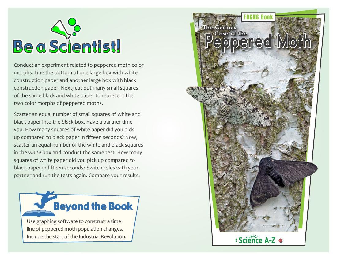 The Peppered Moth by Laura - Flipsnack