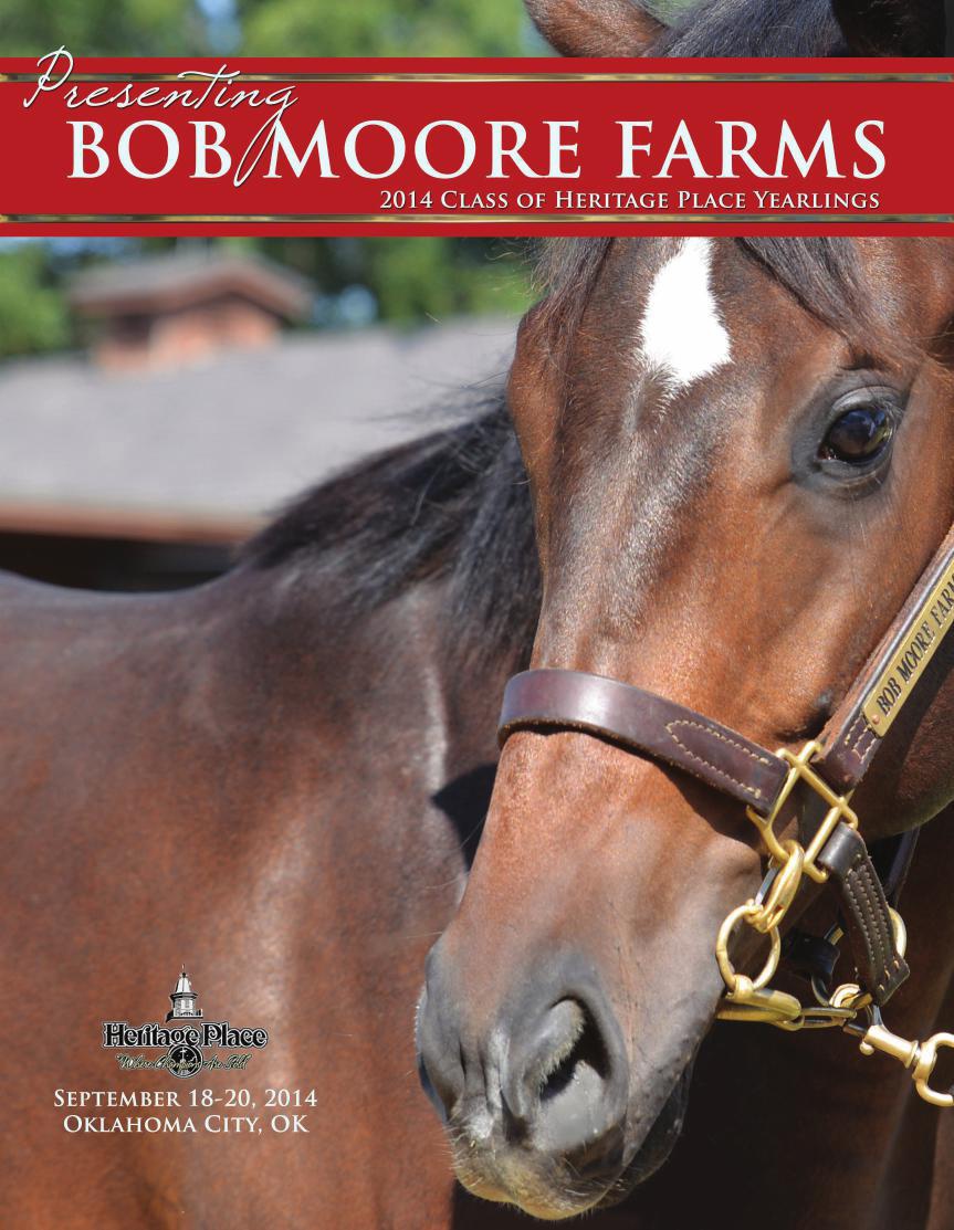 Bob Moore Farms Heritage Place Yearlings by Amanda Glidden - Flipsnack