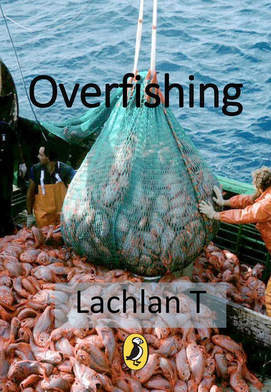 Overfishing Picture Book Part A by Lachlan - Flipsnack