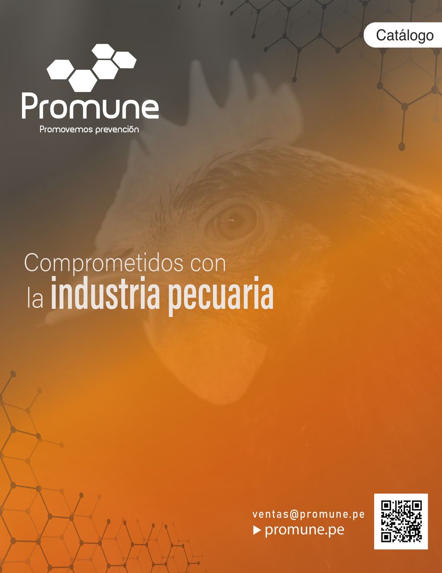 CATALOGO GENERAL PROMUNE 2023 by Comercial Promune - Flipsnack