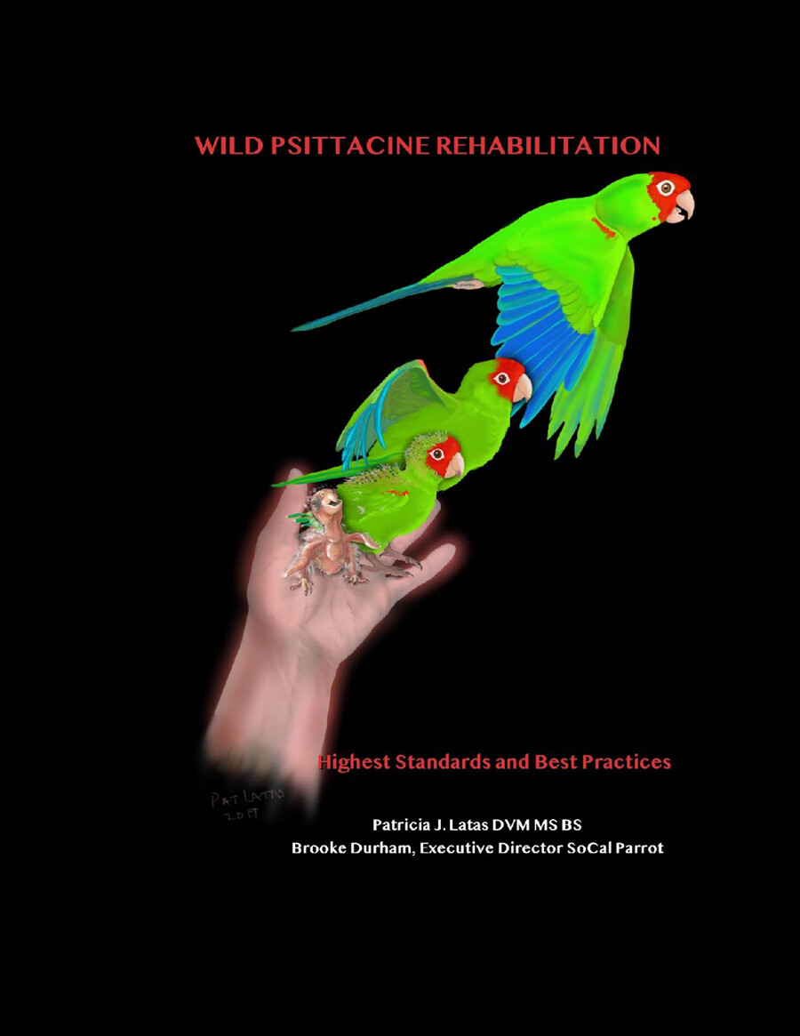 Wild Psittacine Rehabilitation by Wild Parrot... - Flipsnack