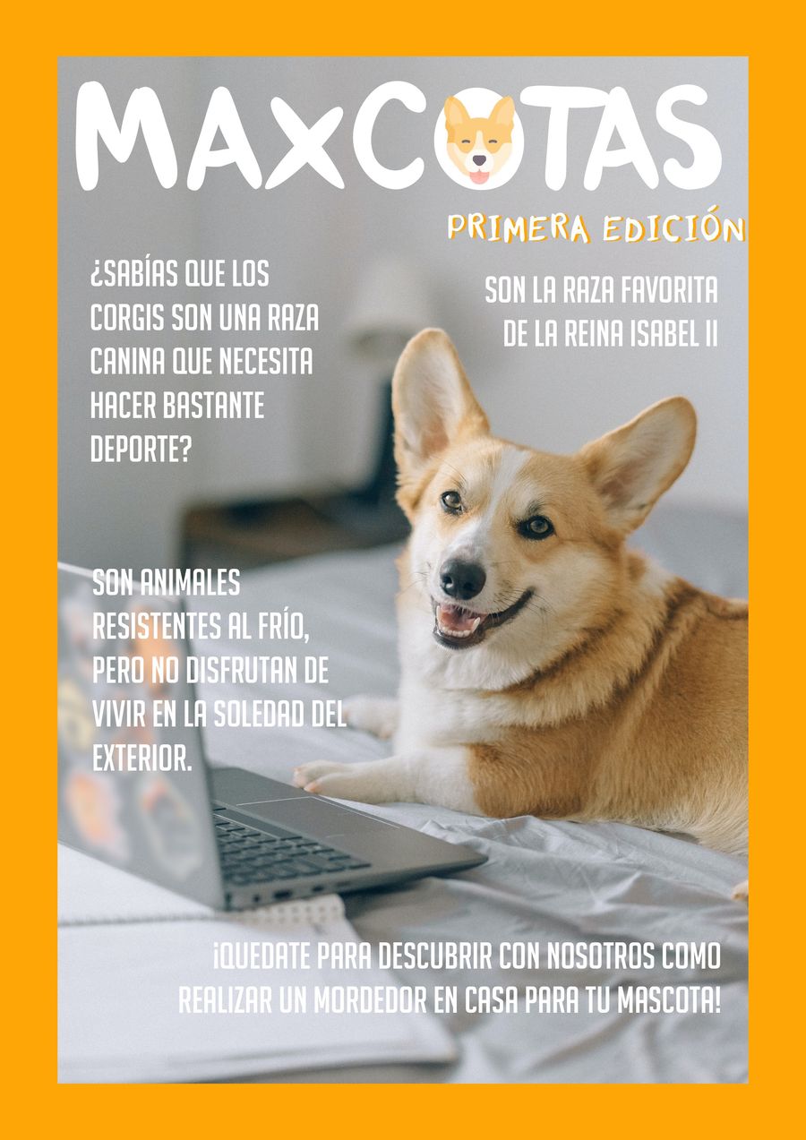 Revista Animales by Antonia Cea - Flipsnack