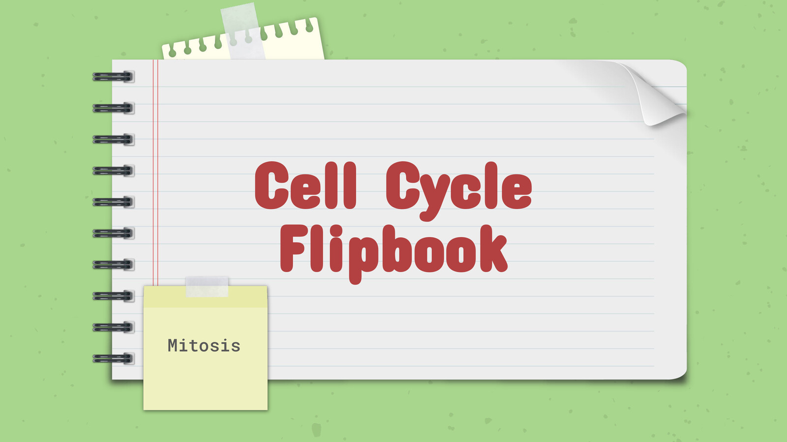 Cell Cycle Flipbook by Rashad Student - Flipsnack