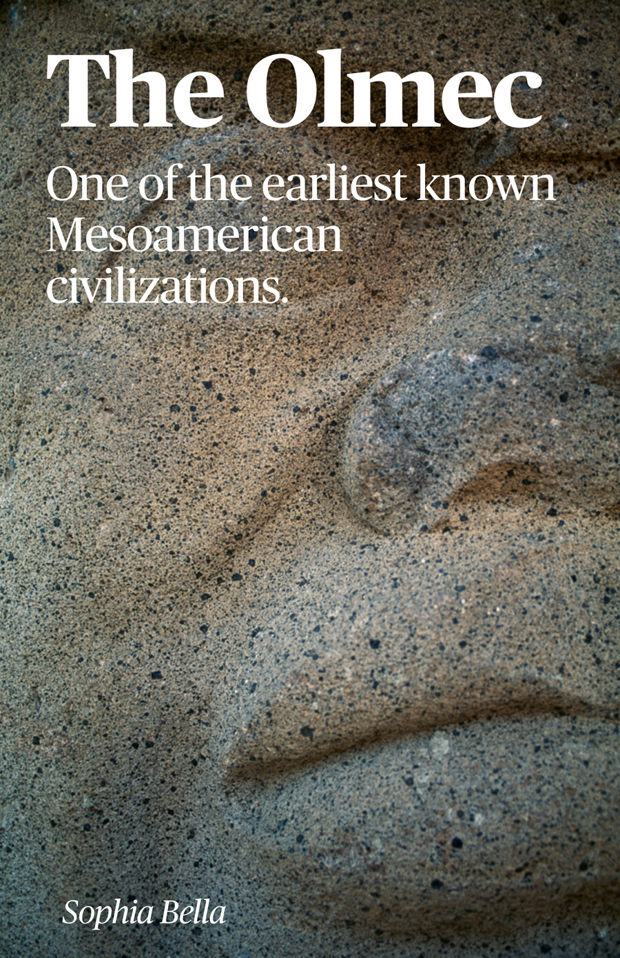 Olmec Civilization Brochure by Sophia - Flipsnack