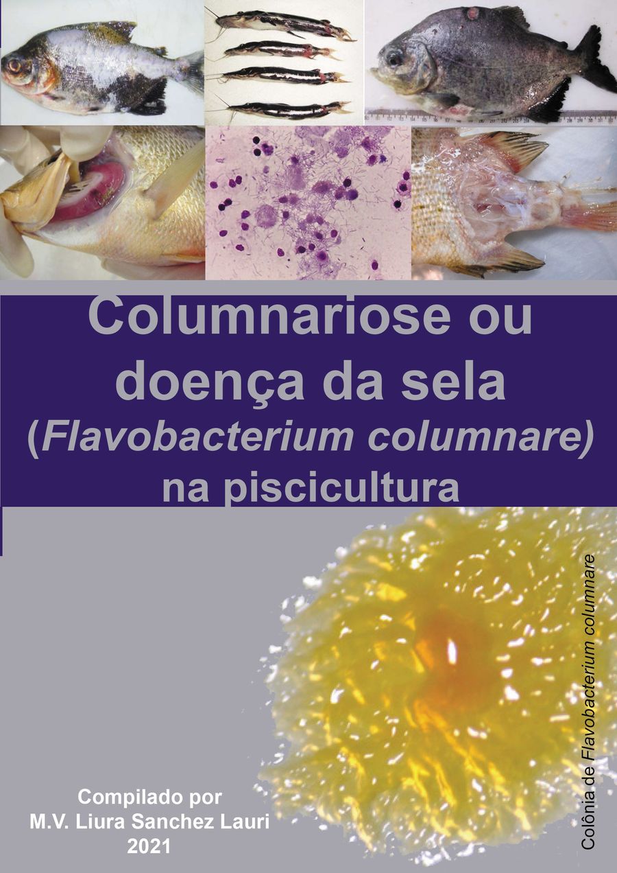 Flavobacterium columnare by Liura Sanchez Lauri - Flipsnack