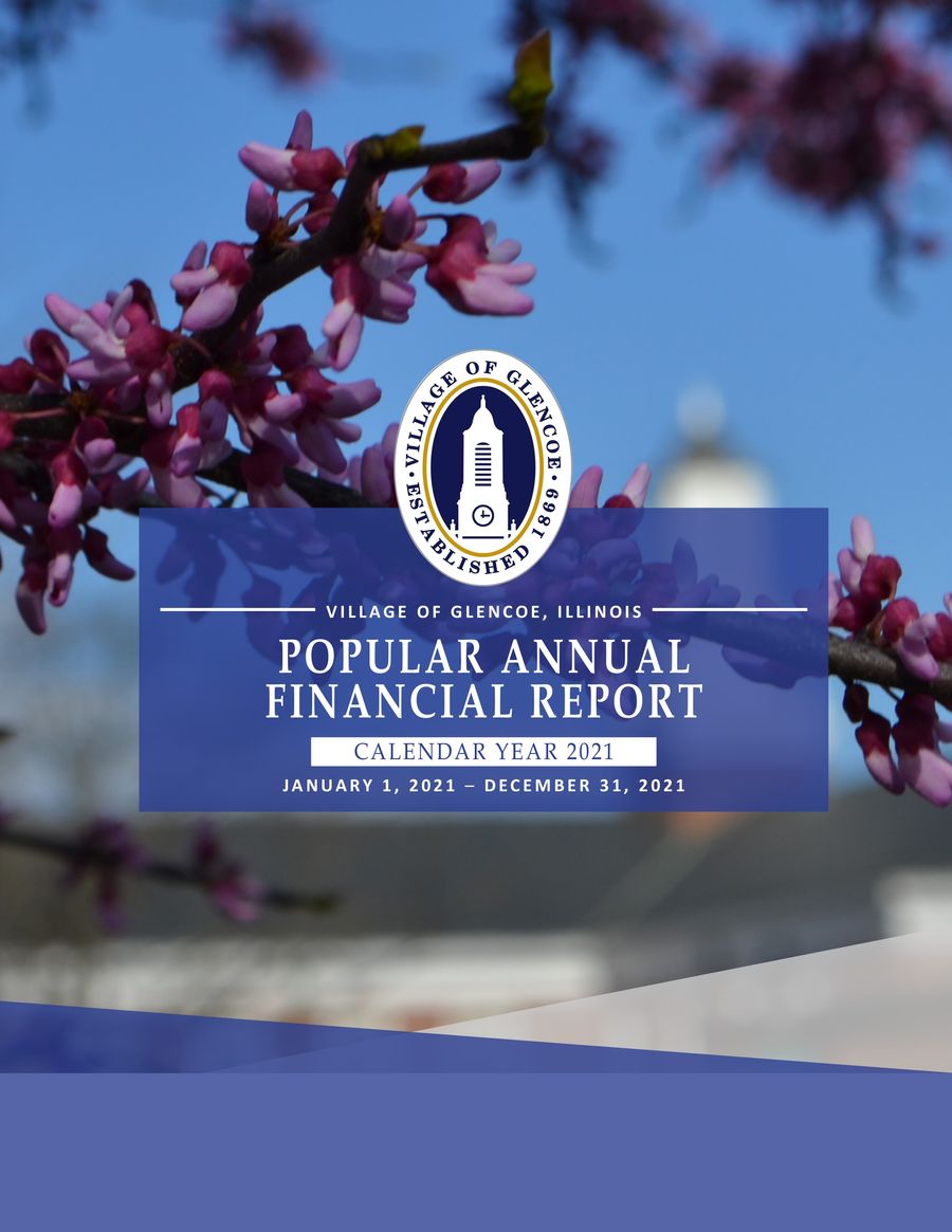 Fiscal Year 2021 - Popular Annual Financial Report by Sammy Hanzel ...