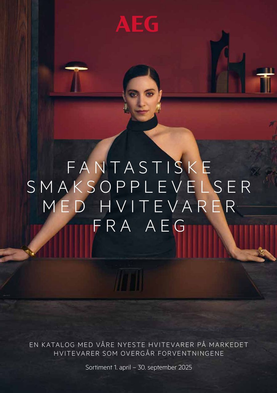 AEG FORBRUKER FLYER NORGE by Norway - AEG Marketing