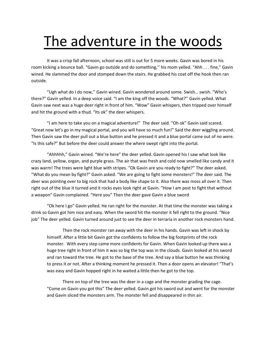 The adventure in the woods by Ethan M - Flipsnack