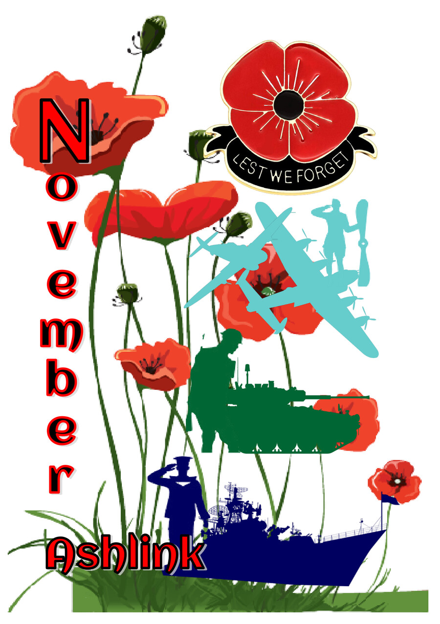 #11 NOVEMBER Ashlink 2020 by Grant Long - Flipsnack