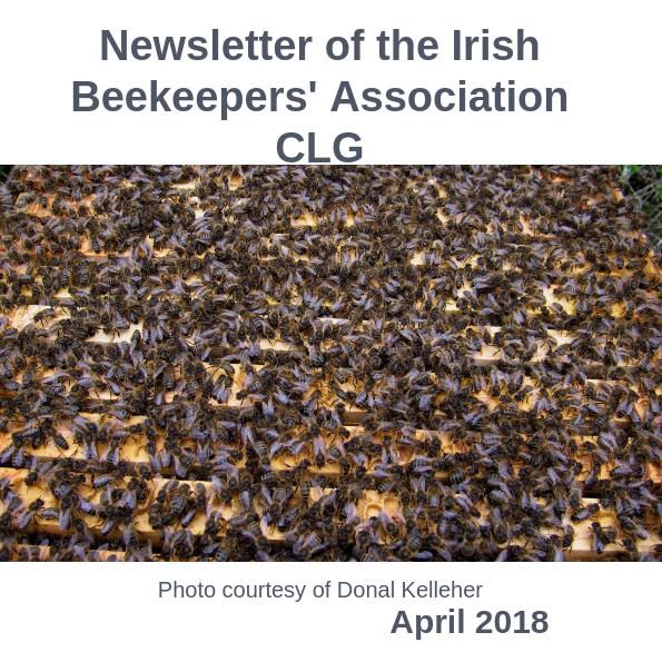 Newsletter of the Irish Beekeepers' Association CL by Irish... - Flipsnack