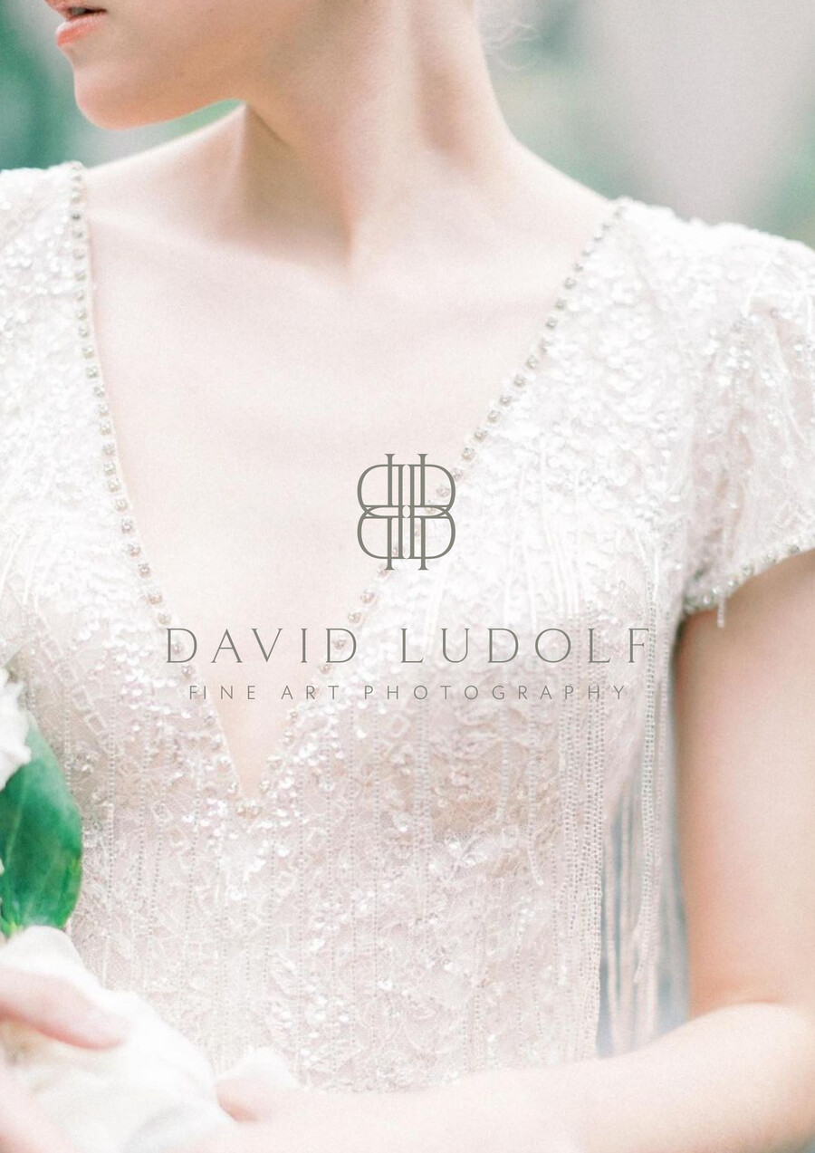 David Ludolf_Identidade Visual by Camila Valentini - Flipsnack