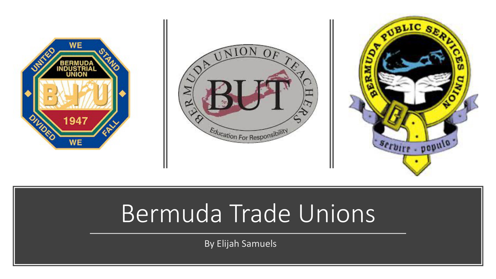 Bermuda Trade Unions by Sonia Waldron - Flipsnack