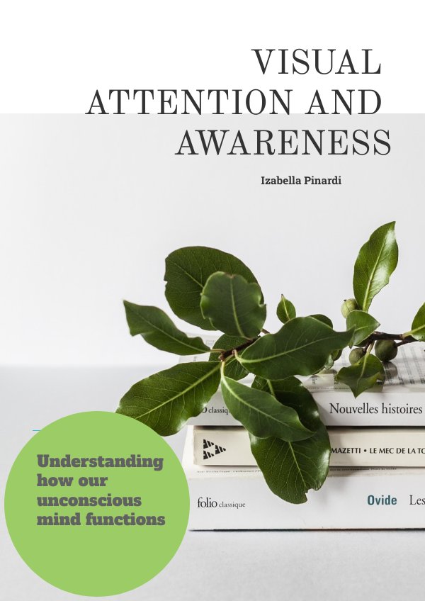 Visual Attention and Awareness by Izabella - Flipsnack